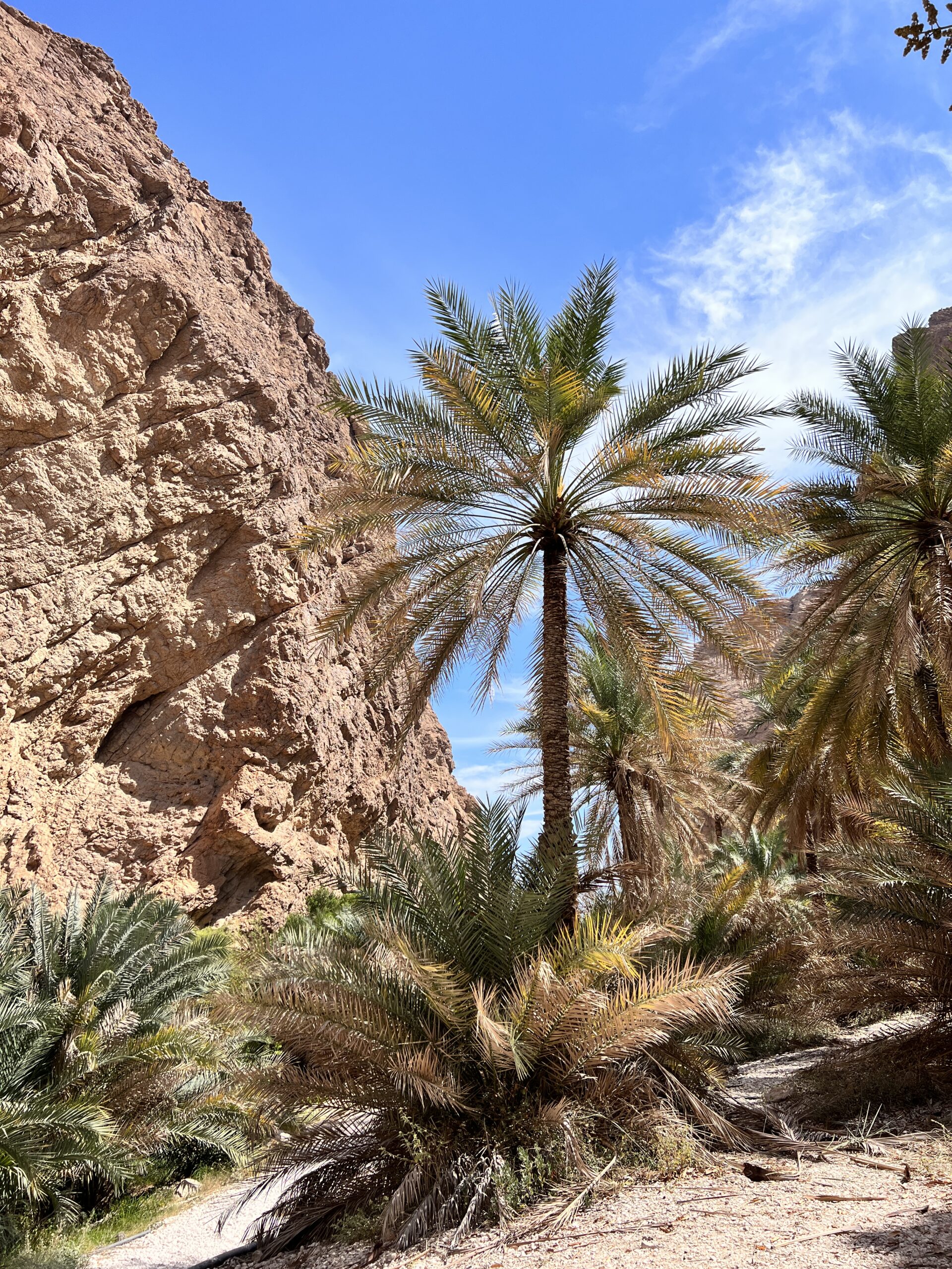 How to Experience Oman in 5 Days: A Travel Itinerary & Tips for ...